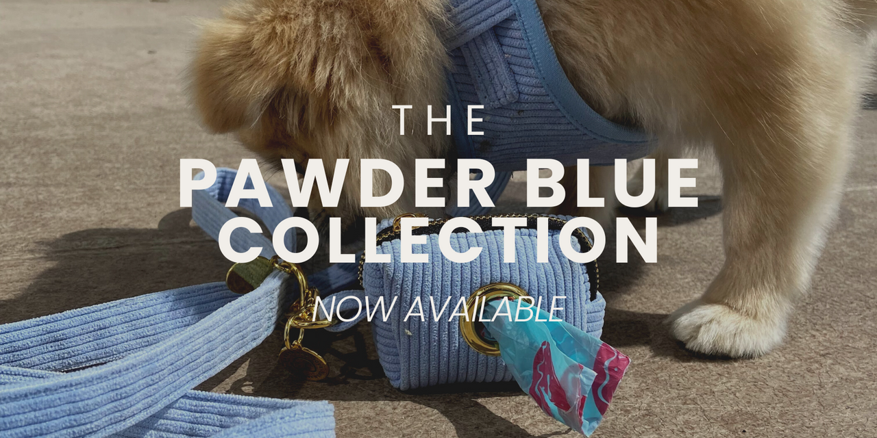 Luxury and Minimalistic Style Dog Harness, Collars, and More – Barker ...